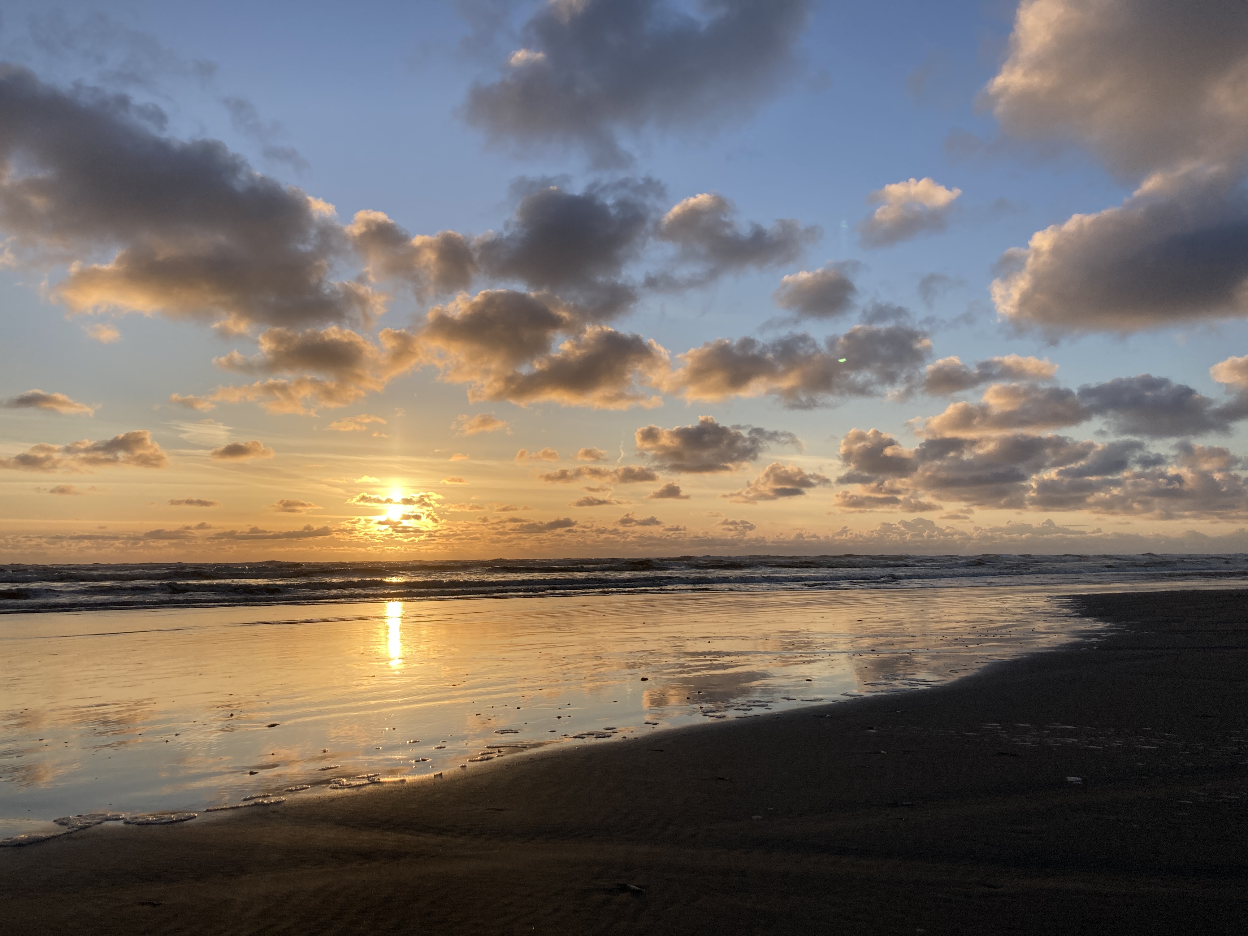 Grays Harbor Chapter of the Surfrider Foundation
